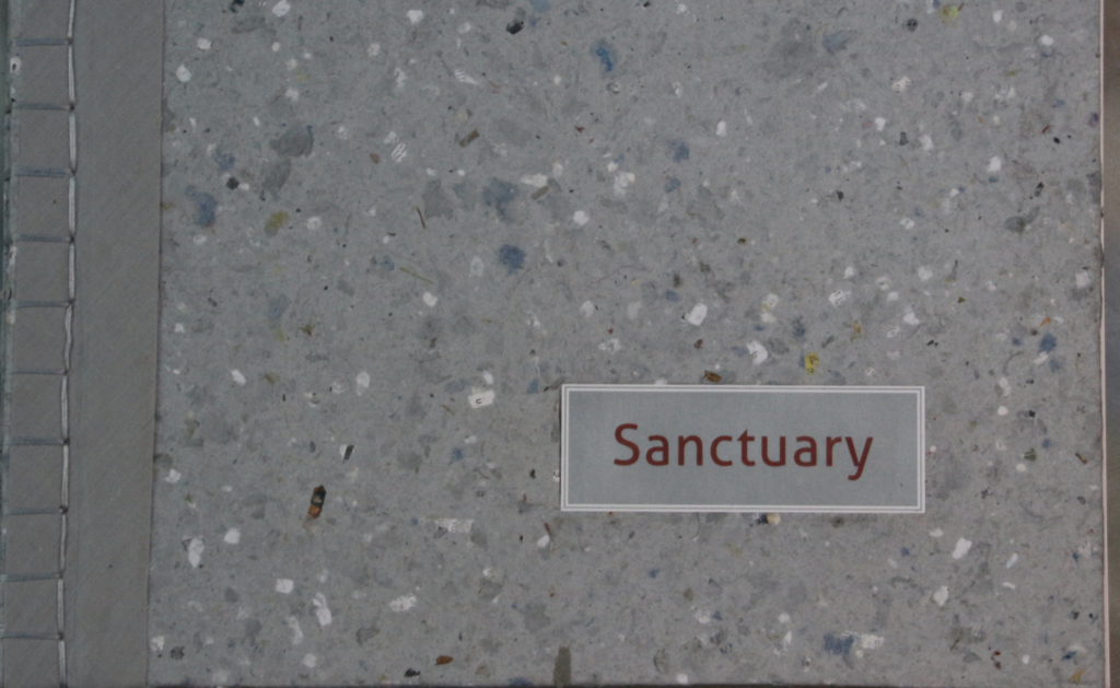 Sanctuary - City of Asylum