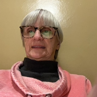 City of ASL: Performing Off the Page with Lisa McBee, Mj Shahen, KJ ...